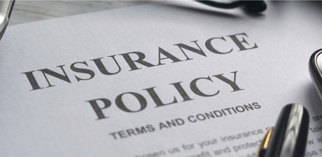 Product Resources - Manuals, Guides & Videos | Betty & Bertie – Betty ...